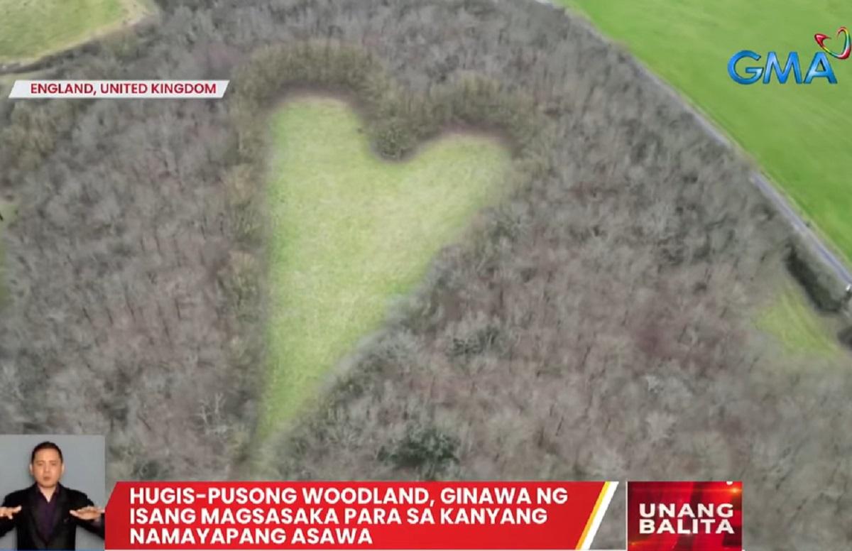 Hugis-pusong clearing sa isang woodland, ginawa ng isang farmer para sa ...