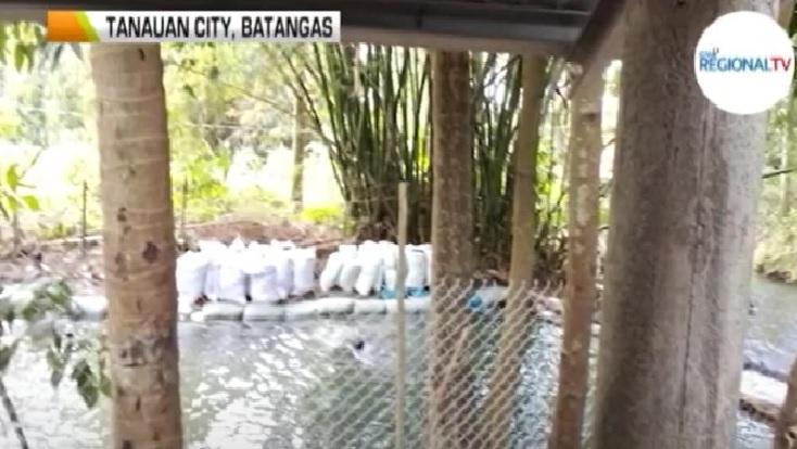 Ginang na nagdiwang ng kaarawan sa lawa, nalunod | Balitambayan Ginang na nagdiwang ng kaarawan sa lawa, nalunod | Balitambayan