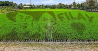 FUTURE_RICE_FARM | Tracking | GMA News Online