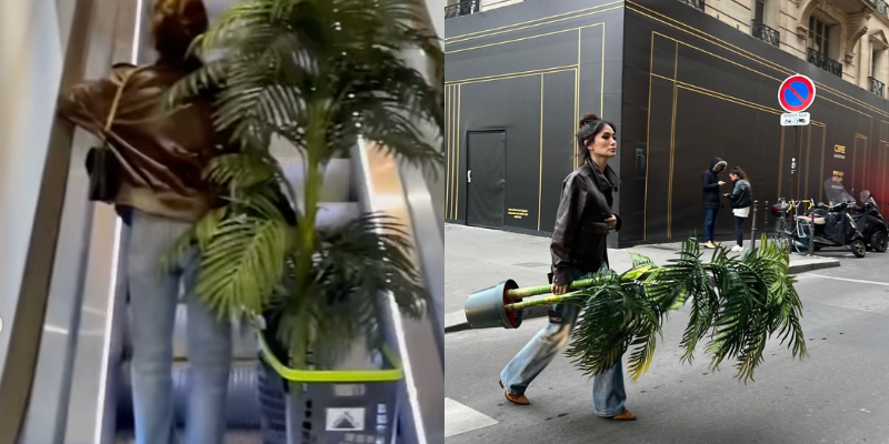 Heart Evangelista walks around lugging a tree in Paris on errand day ...