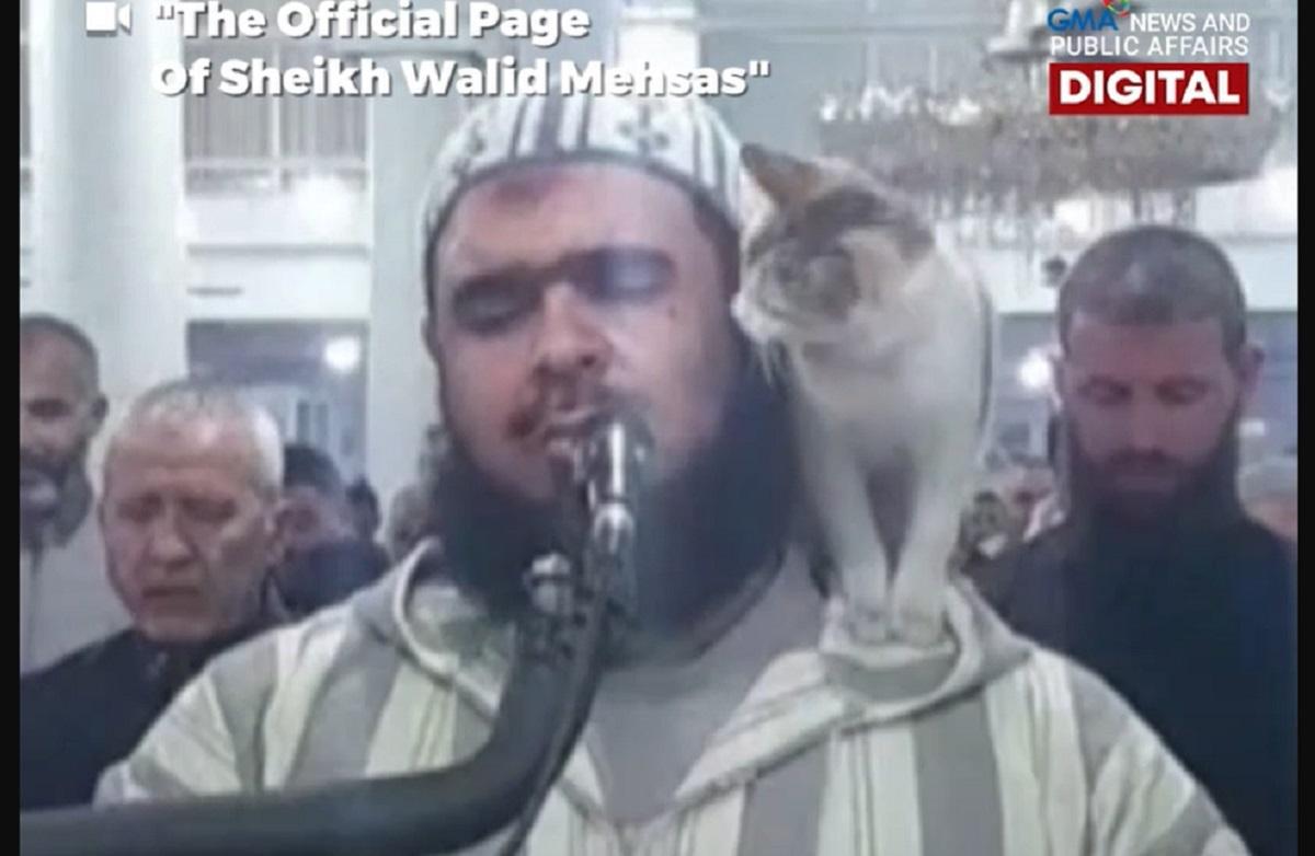 Pusa, umakyat sa balikat ng nagdarasal na sheikh sa isang mosque sa ...