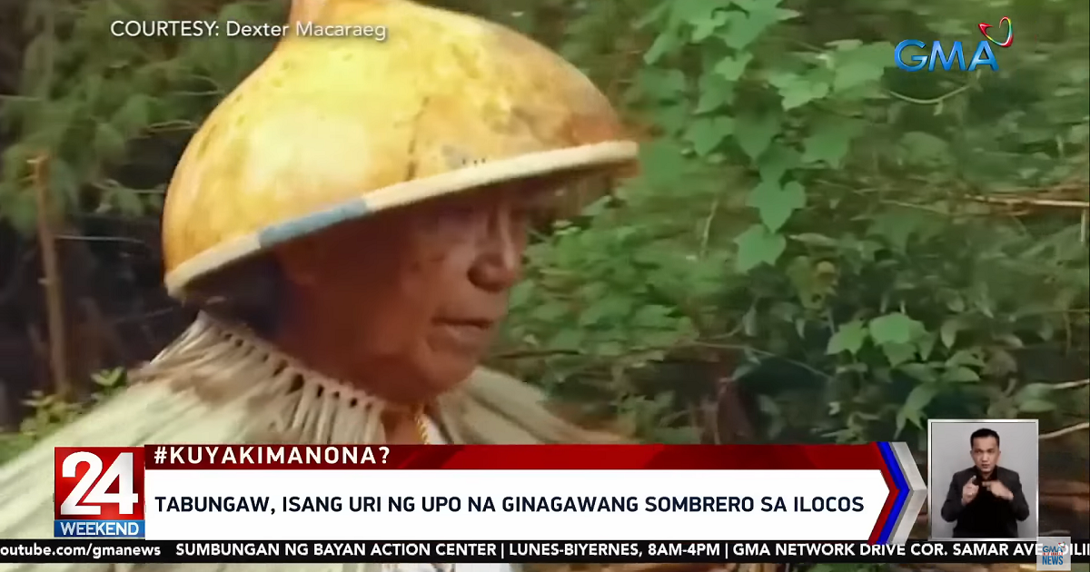 Which Philippine vegetable can be turned into a hat? Kuya Kim has the ...