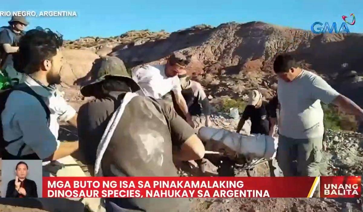 Mga buto ng isa sa pinakamalaking dinosaur, nahukay sa Argentina ...