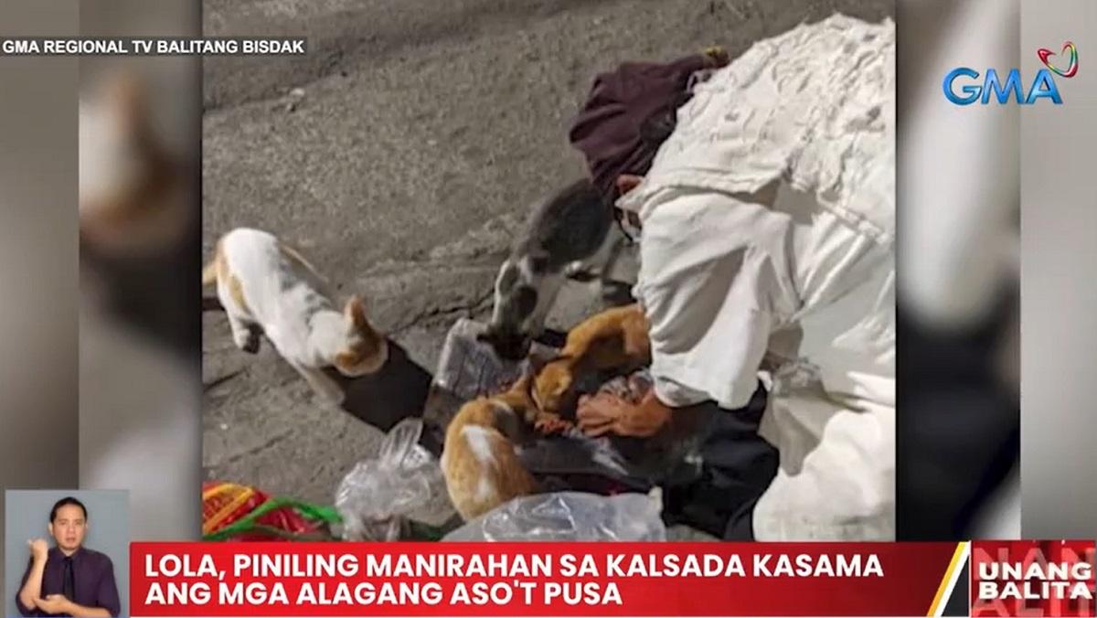 Lola sa Cebu City, piniling manirahan sa kalsada kasama ang mga alagang ...