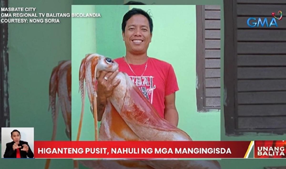 Higanteng pusit, nahuli ng mga mangingisda sa Masbate City | Balitambayan
