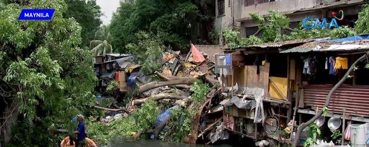 Death toll in Manila tree collapse rises to 3; Abalos orders probe ...