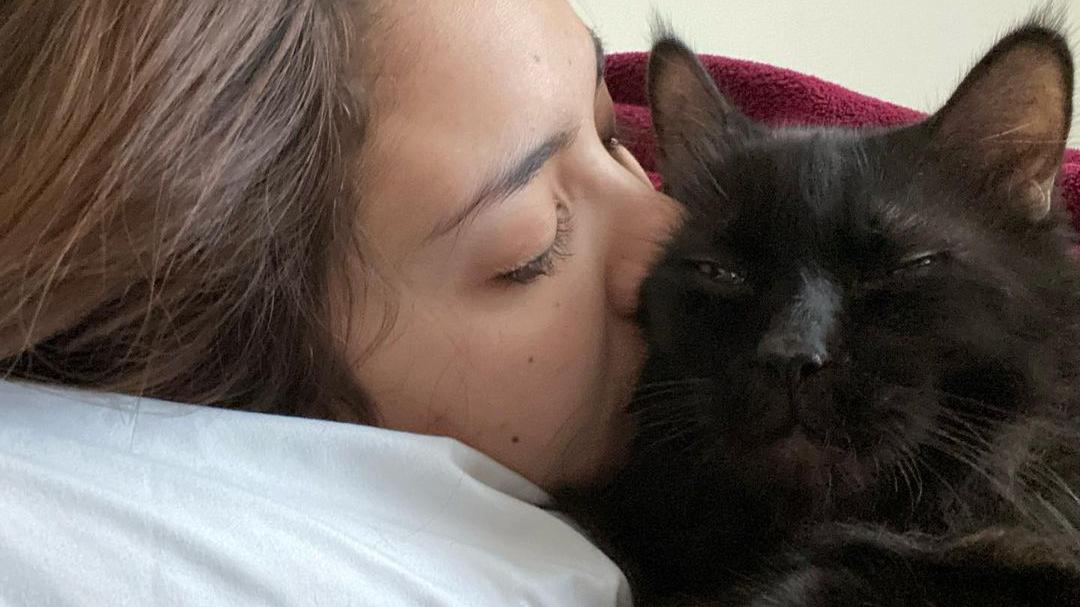 Megan Young mourns passing of cat Salem: 'I'm happy I had all those ...