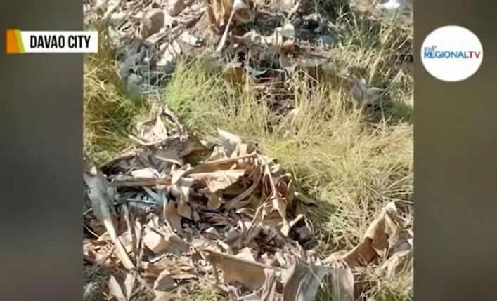 Babaeng architect, natagpuang patay at tinakpan ng dahon ng saging sa ...