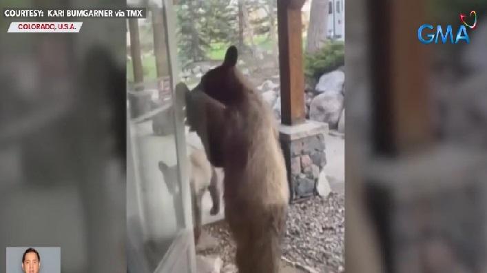Residente sa Colorado, USA, nagulat nang mabuksan ng oso ang pinto ng ... Residente sa Colorado, USA, nagulat nang mabuksan ng oso ang pinto ng ...