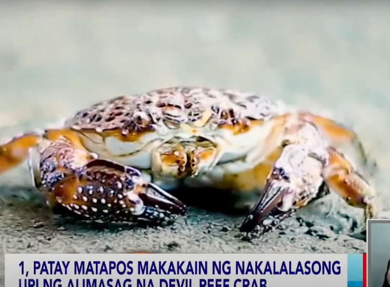 1, patay, 7 naospital matapos makakain ng devil reef crab | Balitambayan