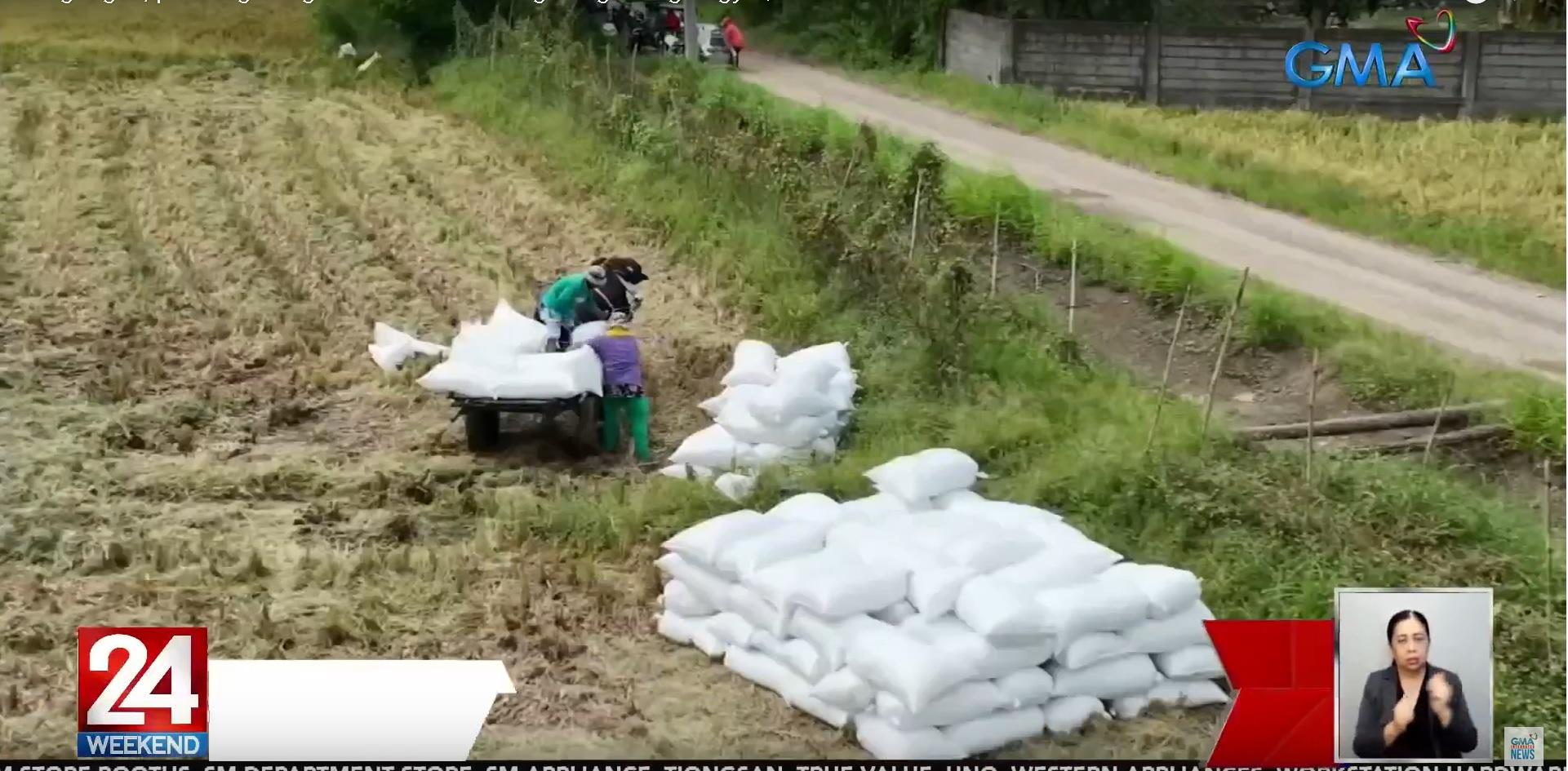 Millers expect rice prices to gradually decrease in 2-3 weeks | GMA ...