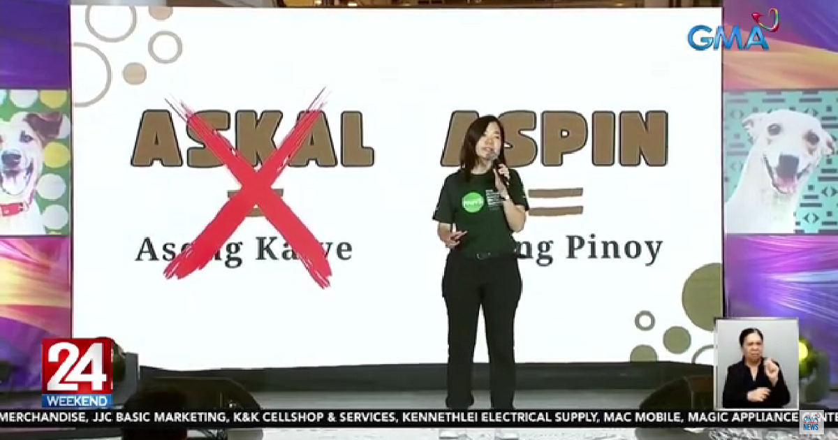 Why call Pinoy dogs aspin and not askal? PAWS exec explains | GMA News Online