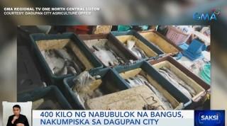 ROTTING | Tracking | GMA News Online