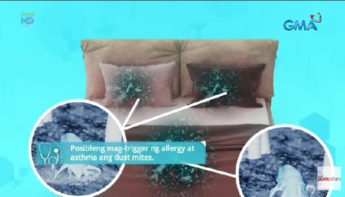 Mga bed sheet at punda, puwede raw pamugaran ng milyong-milyong ...