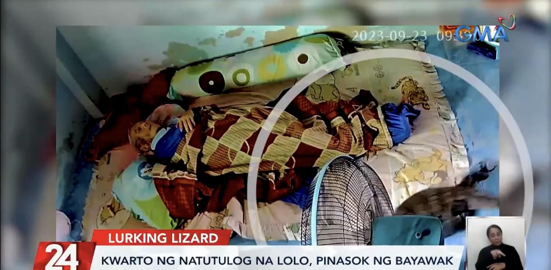 Bayawak, pumasok sa kuwarto ng natutulog na lolo sa Thailand | Balitambayan