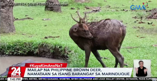 RUSA_MARIANNA | Tracking | GMA News Online