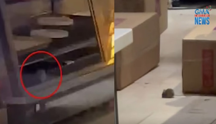 Mga bubuwit, nagpista sa isang Chinese resto sa New York | Balitambayan