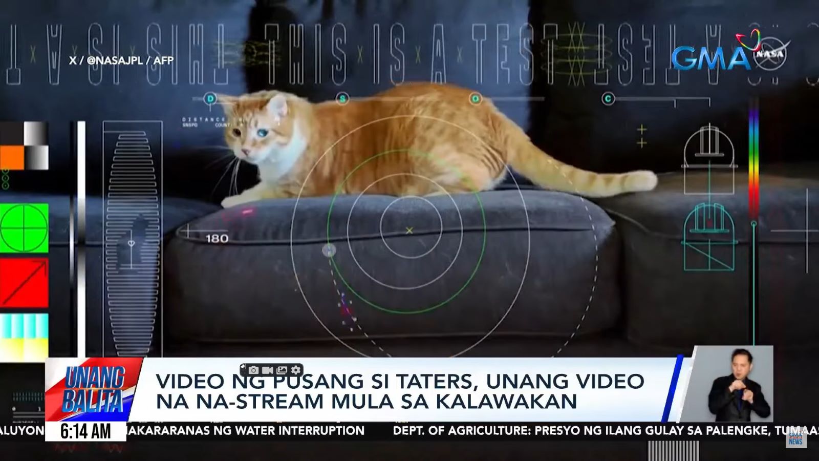 Pusang si Taters, tampok sa unang video na na-stream ng NASA mula sa ...
