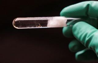 DENGUE | Tracking | GMA News Online