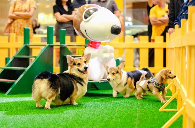 Explore the magic of Snoopy Paw Park at SM Megamall | GMA News Online