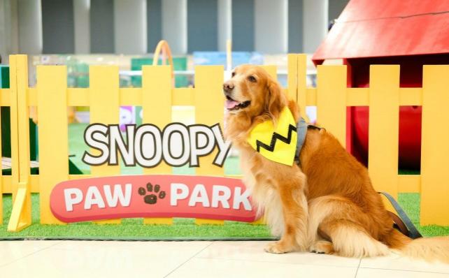 Explore the magic of Snoopy Paw Park at SM Megamall | GMA News Online