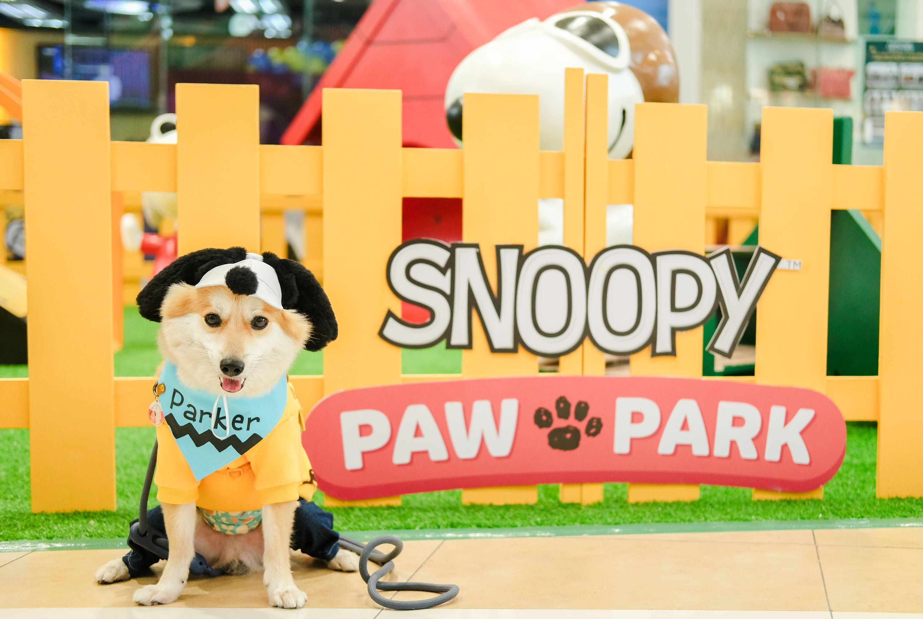 Explore the magic of Snoopy Paw Park at SM Megamall | GMA News Online