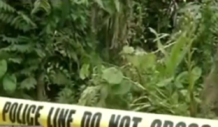 Isa na namang babae na 7-taong-gulang, pinaslang sa Quezon | Balitambayan