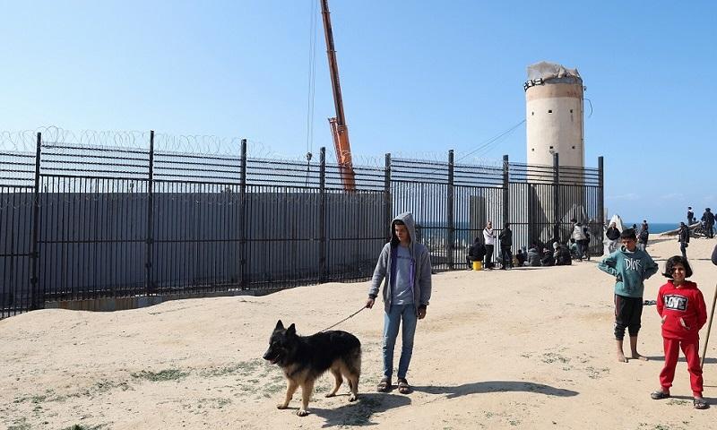 Pet dogs bring both joy and worry to displaced Gaza teenager | GMA News ...