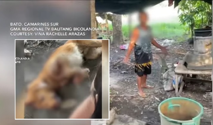 Lalaking pumatay sa aso sa CamSur, iginiit na nang-atake ng tao ang ... Lalaking pumatay sa aso sa CamSur, iginiit na nang-atake ng tao ang ...