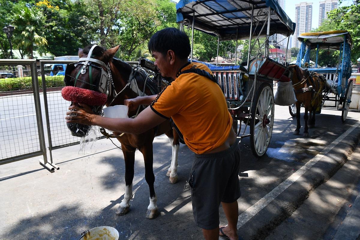Find shade and hydrate in the heat | Photos | GMA News Online