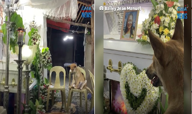 Indian national na 'di ibinigay ang kaniyang sling bag, binaril at ...