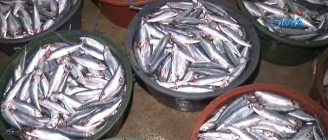 PH to import 25000 MT fish —DA | GMA News Online