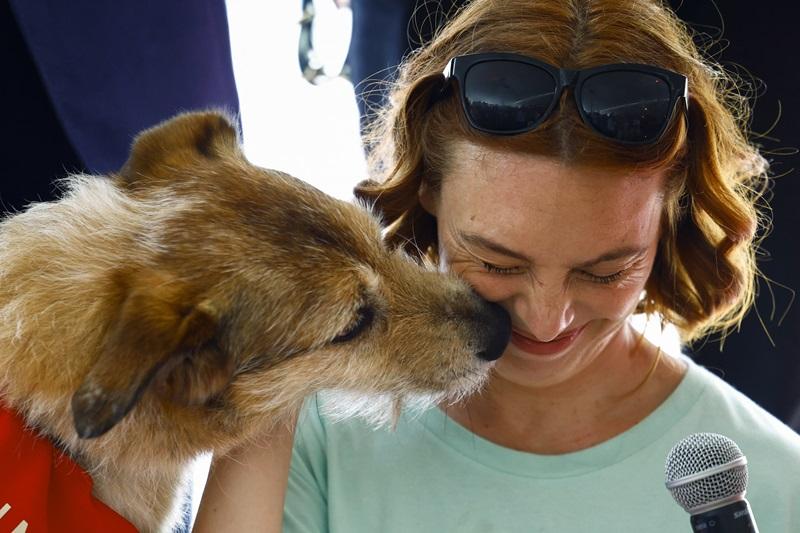 Kodi wins best canine performance award at 77th Cannes Film Festival ...