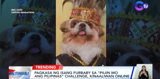 PILIIN_MO_ANG_PILIPINAS | Tracking | GMA News Online