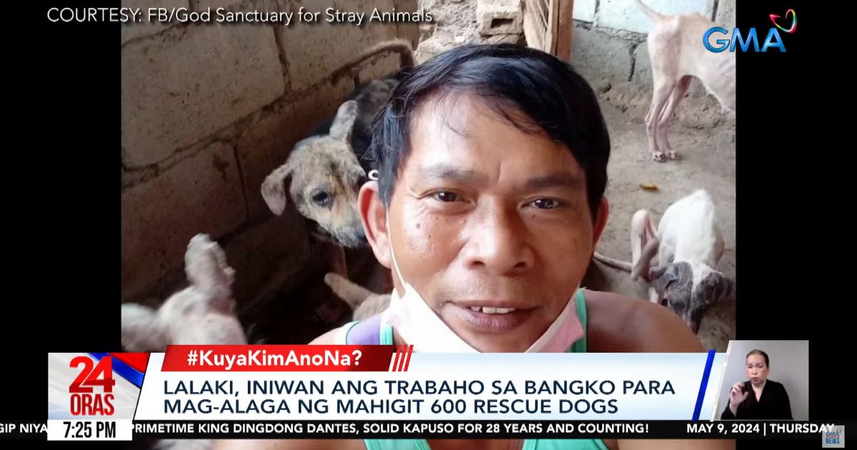 This man left his finance job to build sanctuary for over 600 rescue ...