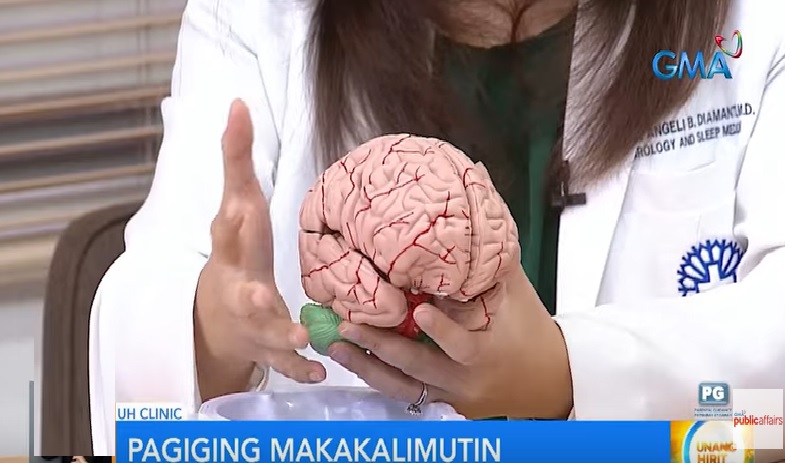 Kailan dapat mabahala kapag nagiging makakalimutin na? | Balitambayan Kailan dapat mabahala kapag nagiging makakalimutin na? | Balitambayan