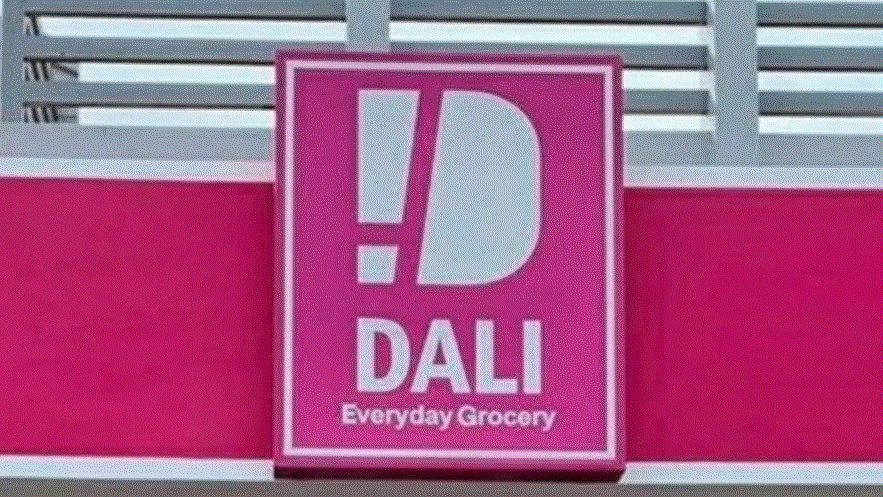 Group seeks intellectual property body probe on Dali's 'knockoff ...