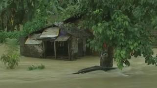 NDRRMC | Tracking | GMA News Online