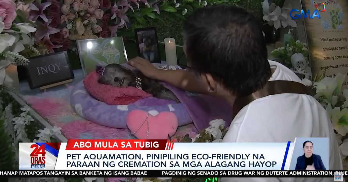 What is pet aquamation? An eco-friendly alternative to cremation | GMA ...