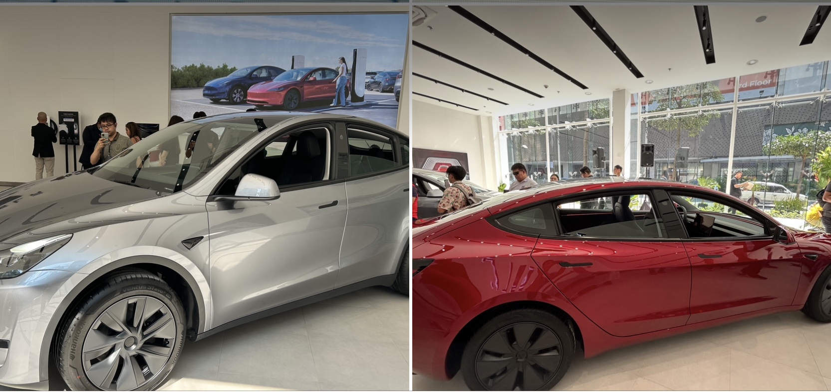 Elon Musk's Tesla officially launches in PH | GMA News Online