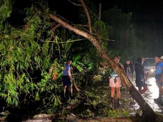 LANDSLIDE | Tracking | GMA News Online