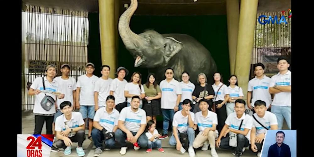 Mali the elephant’s taxidermy specimen brought to Manila Zoo | GMA News ...