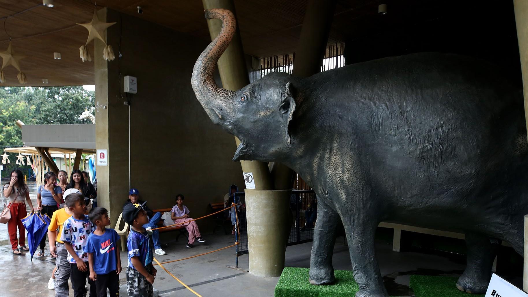 Mali returns to Manila Zoo | Photos | GMA News Online