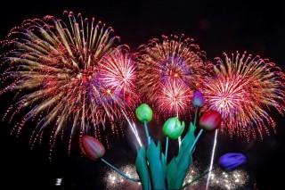 FIREWORKS | Tracking | GMA News Online