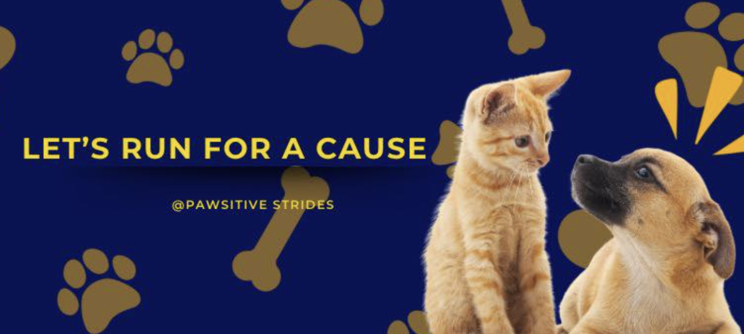 Pawsitive Strides: Run for the Homeless Tails | GMA News Online
