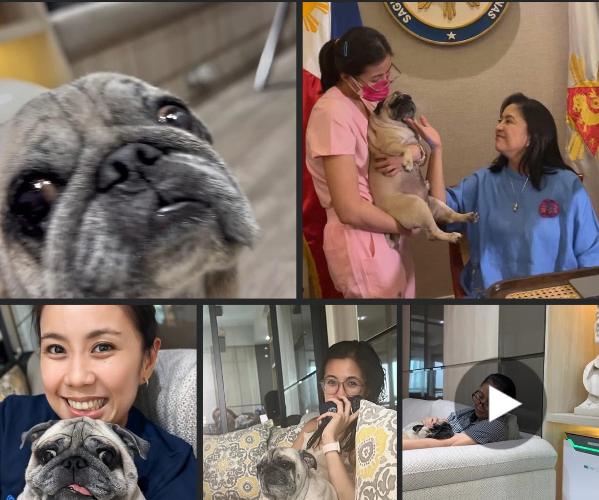 Leni Robredo, family mourn loss of family dog Rocco | GMA News Online