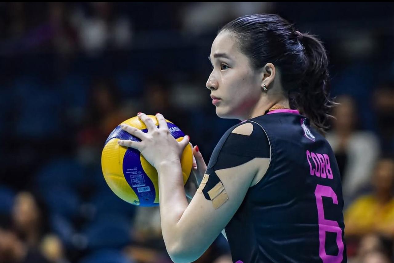 Michelle Cobb announces retirement from volleyball | GMA News Online