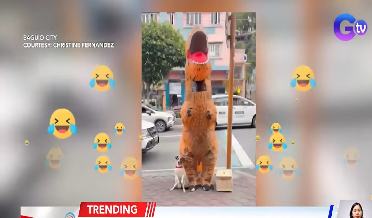 Aso na ginaya ang pose ng dino mascot, kinagiliwan ng netizens | Balitambayan