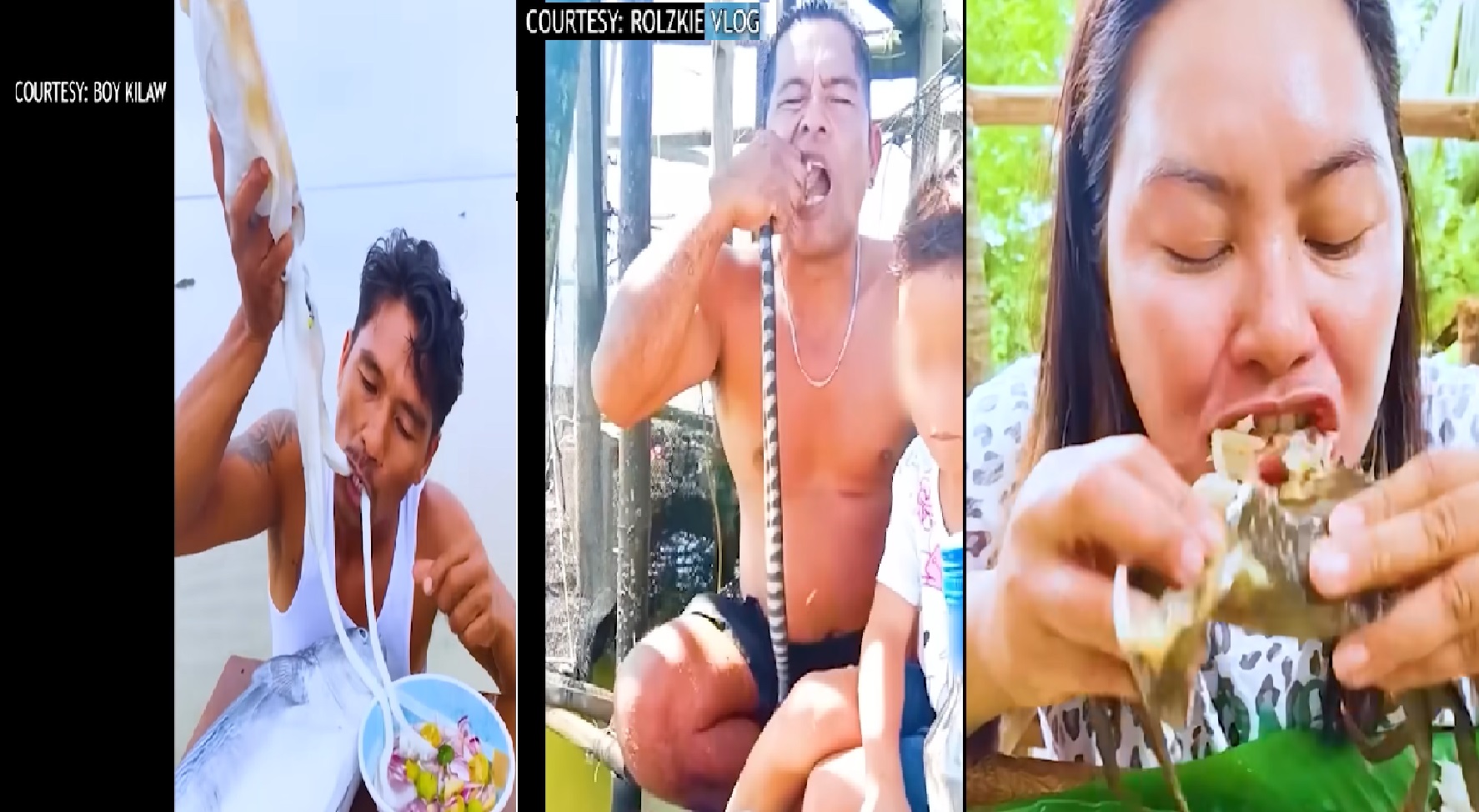 Pagmumukbang ng mga hilaw na lamang-dagat ng isang pamilya para sa vlog, ligtas kayang gawin ...