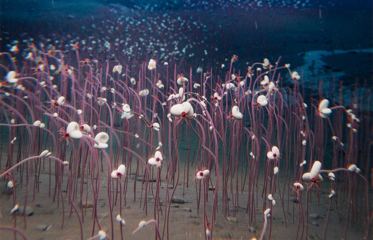 A ‘vibrant oasis’ of chemical-eating creatures found in the deep ...